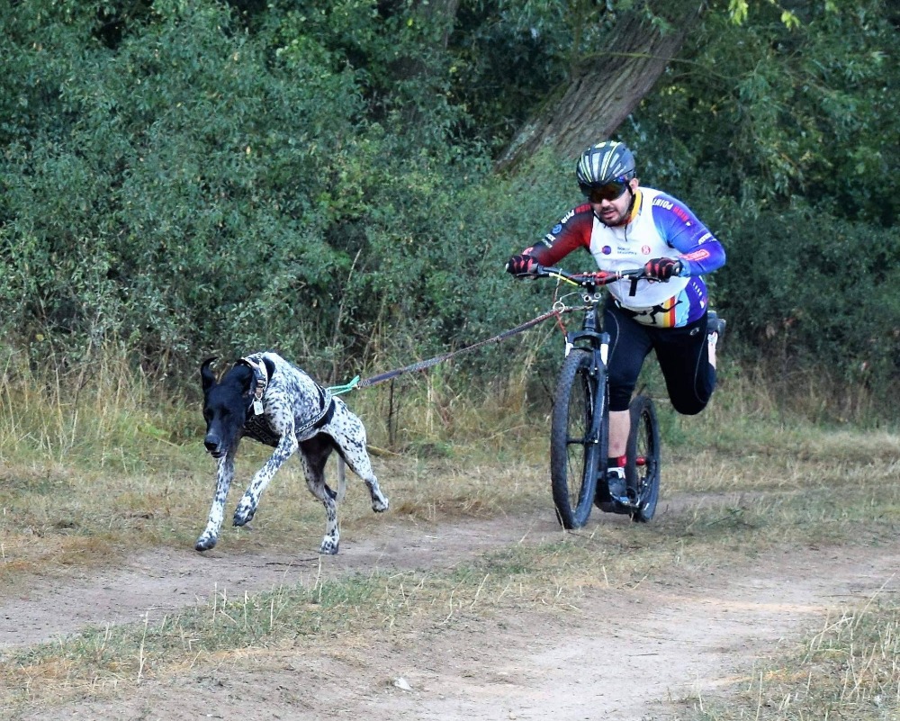 Mayer Michal | Canicross.cz