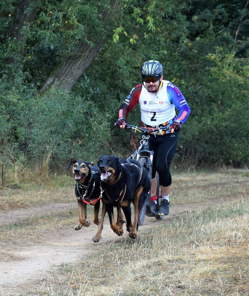 Mayer Michal | Canicross.cz